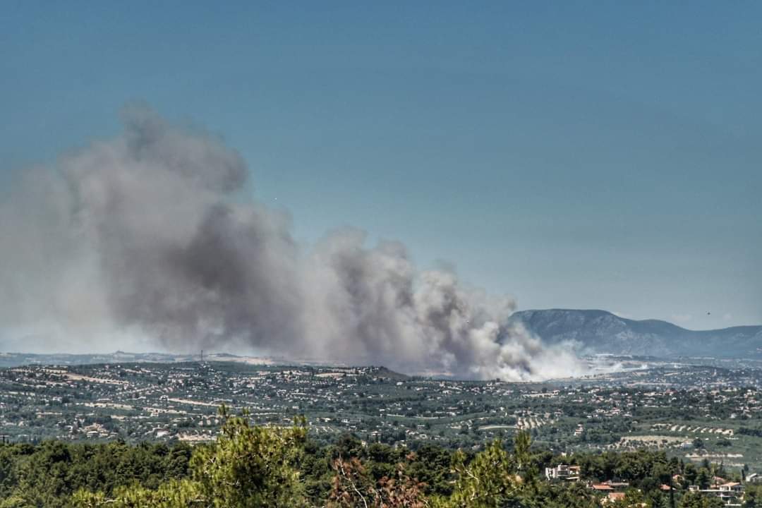 Σχηματάρι, Βοιωτίας: Σε δασική πυρκαγιά επιχειρούν επίγειες δυνάμεις ...
